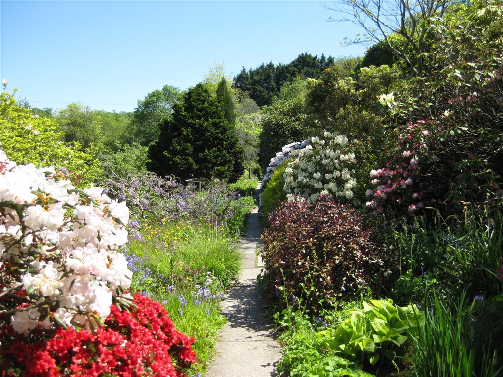 The Garden Wanderer: The Garden House, Devon, England