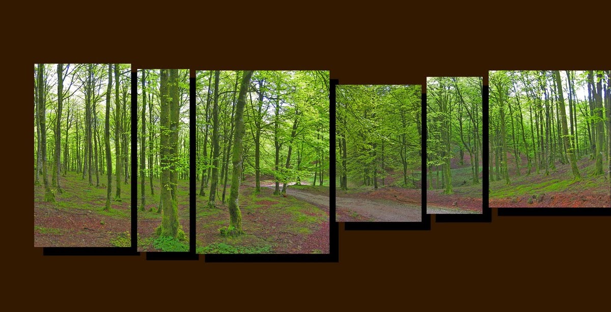 Las Miradas Enteras: Belate