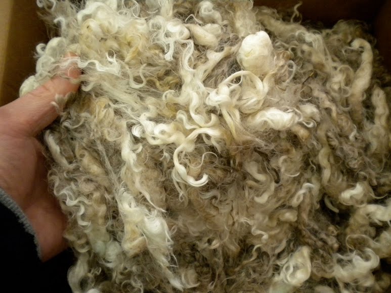 TheyNeverGrowUpNursery: Mohair processing tutorial