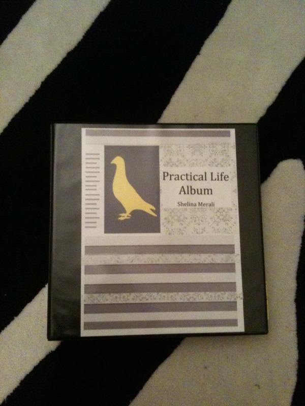 For the Love of Montessori: Practical Life Album