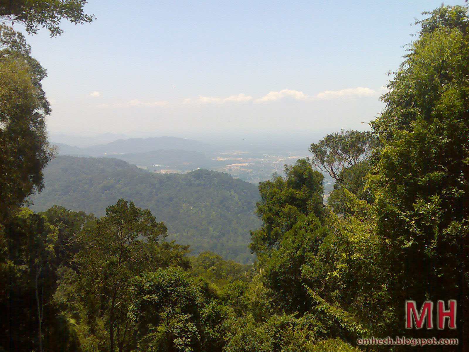 MH: Bukit Larut