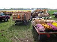 Life in the Dweeb Lane: Clear Springs Auction