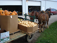 Life in the Dweeb Lane: Clear Springs Auction