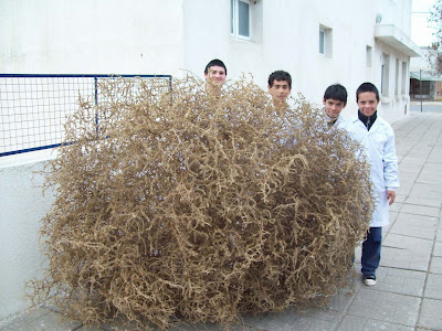 Les contamos que....: UN GRAN CARDO RUSO