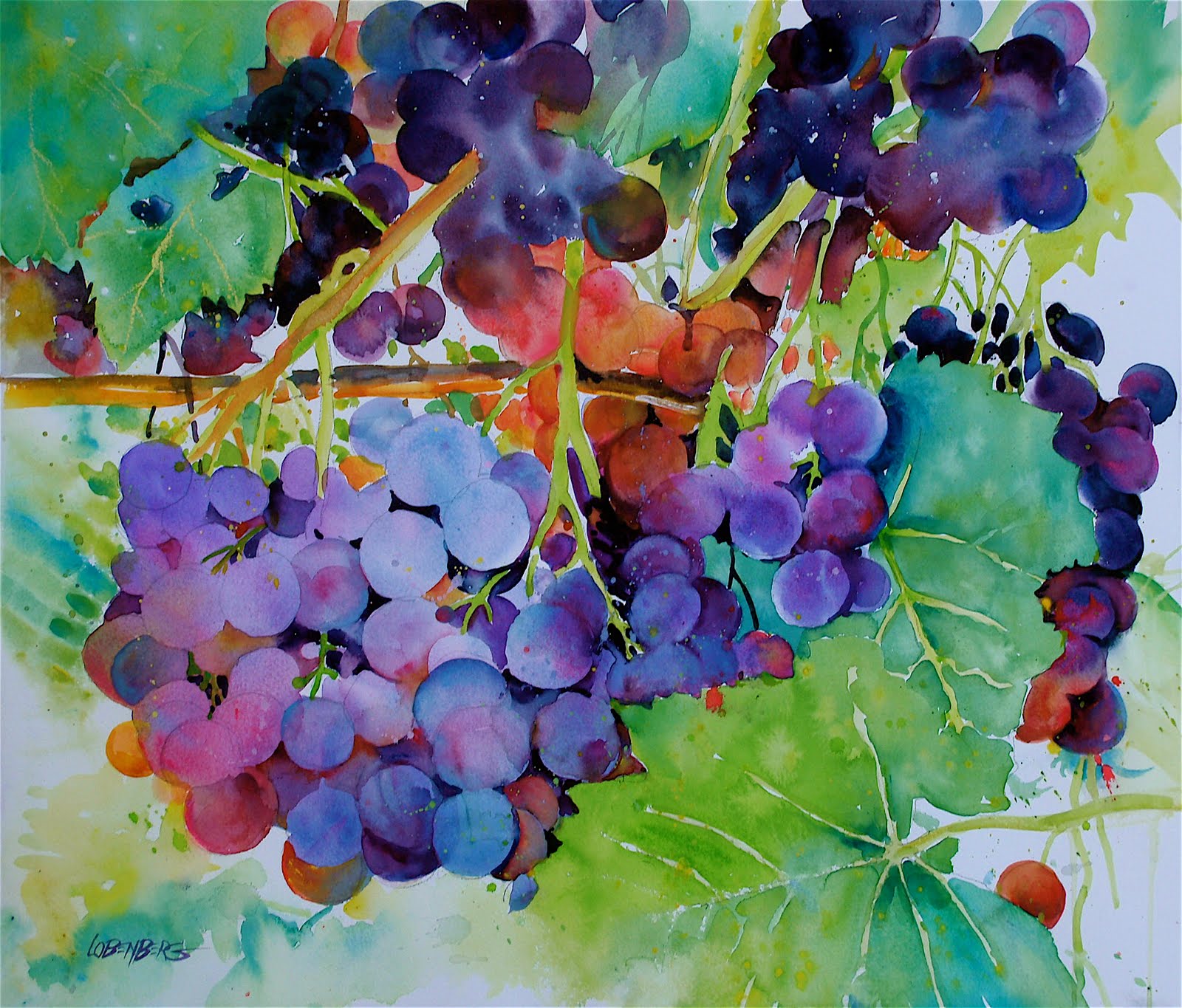 David Lobenberg: Back to Grapes