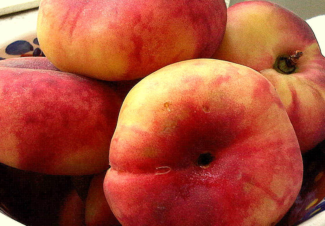 Scarlet Pippin: UFO peaches
