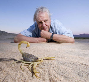 KIRCHER LANDSCAPE: 2009