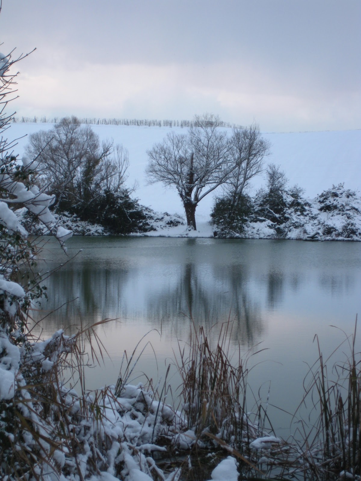 Itineris Mei: Neve…Neve…Neve!!!