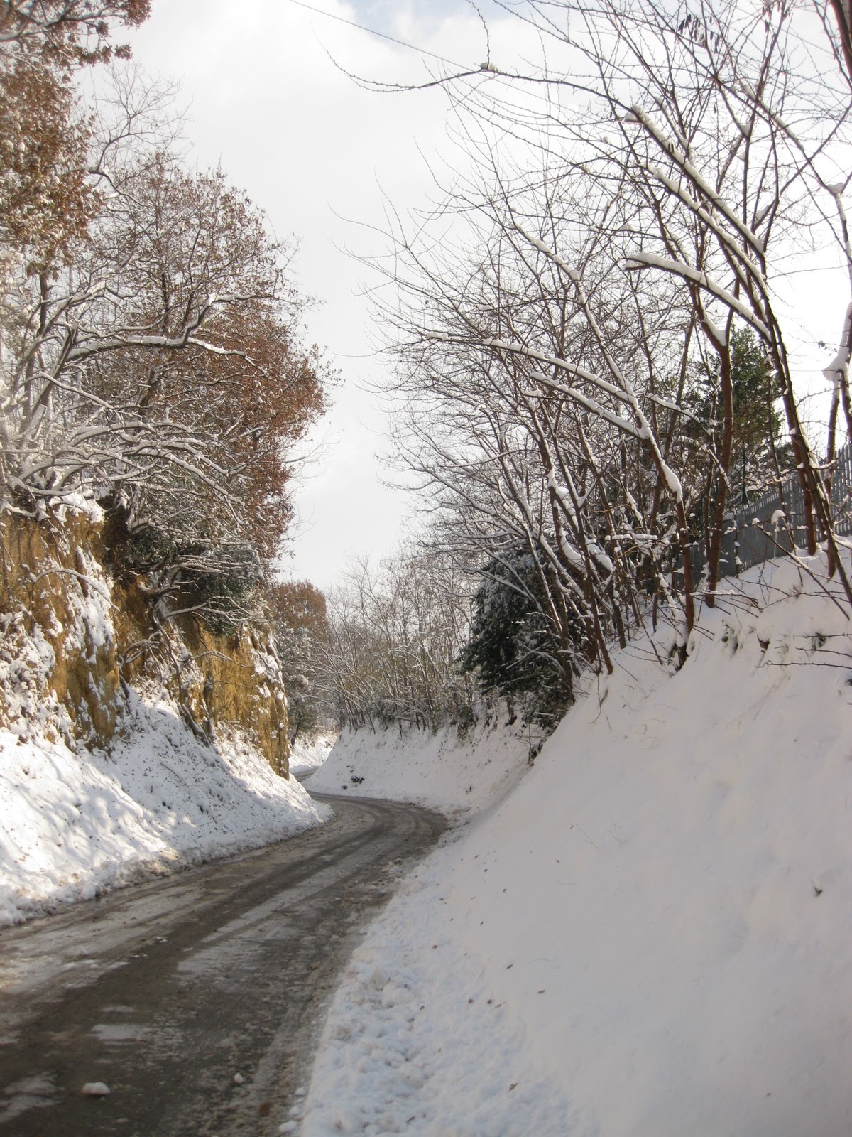 Itineris Mei: Neve…Neve…Neve!!!