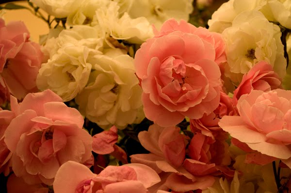 So Many Roads: A Midsummer Night’s Dream