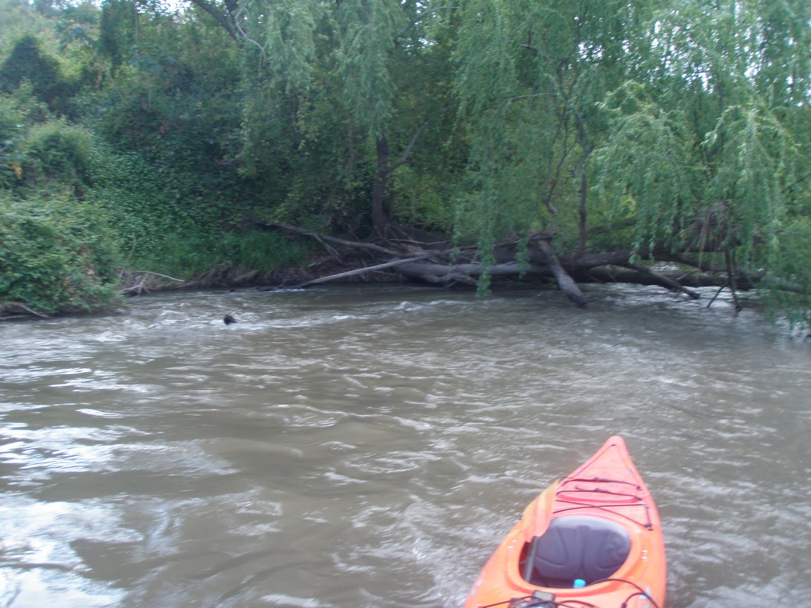 Brook 2 Beaches: Day 6 Arriving at Rose Point Park Singleton