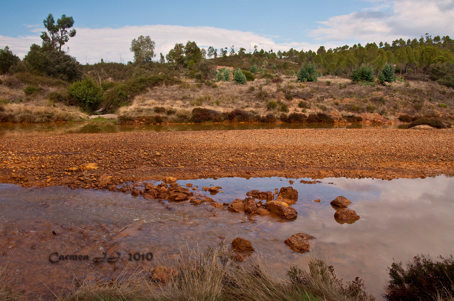 Mirando el mundo: Un paseo junto al río