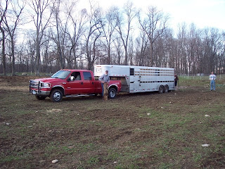 Wooly Pigs: Wooly Pigs Sells Approximately 100 Mangalitsa pigs to ...