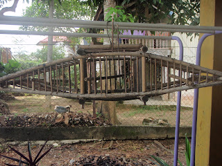 Bayan Puling Serindit Tanau: " Shah Burung" Raja Burung Serindit Kuala ...