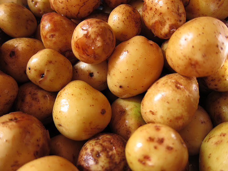 Weekends at Nathan's: Baked Marble Potatoes with Paprika, Basil and Cheese