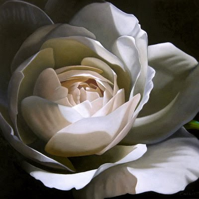 Paintings from the Point: "Rose In Shadow" 24"x 24"