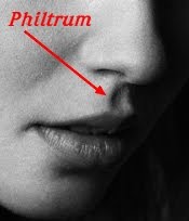 Sursum Corda: Me gusta tu Philtrum