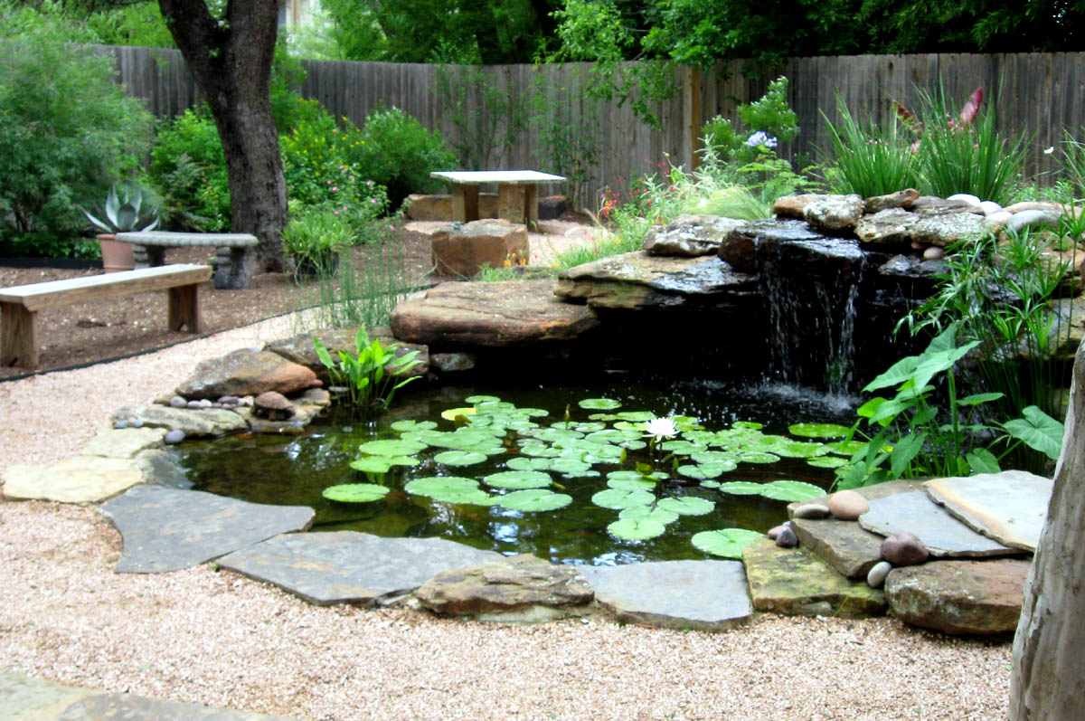 Pond Designs: Natural pond designs