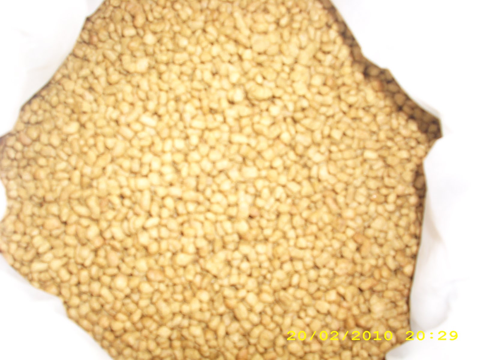 MKIS AGRO ENTERPRISE: Makanan Ikan Keli ( pellet )