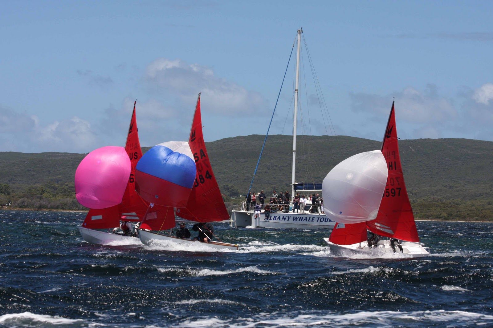 Ross Kearney and Max Odell win Landcorp 2011 Mirror Worlds