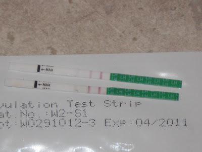 The NFP Chronicles: How To Use LH Tests