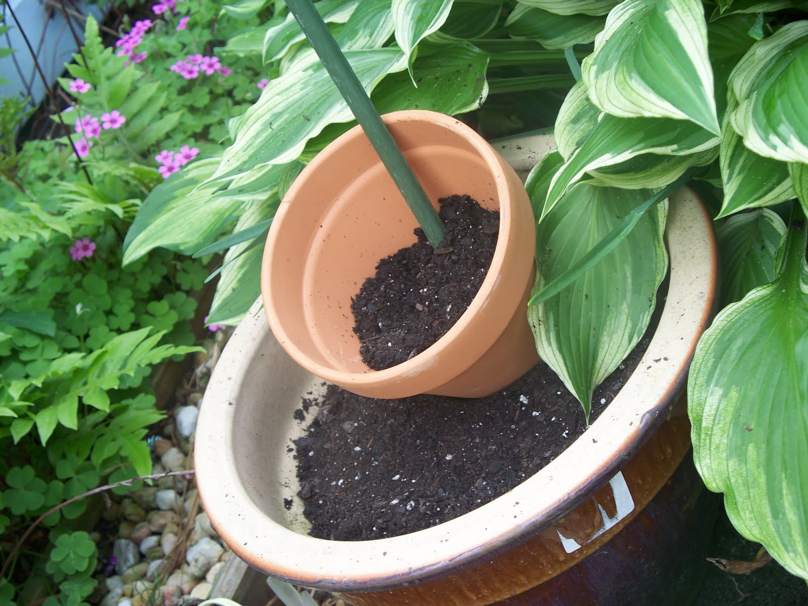 My Back Yard Adventures: Day Project - DIY Tipsy Planter