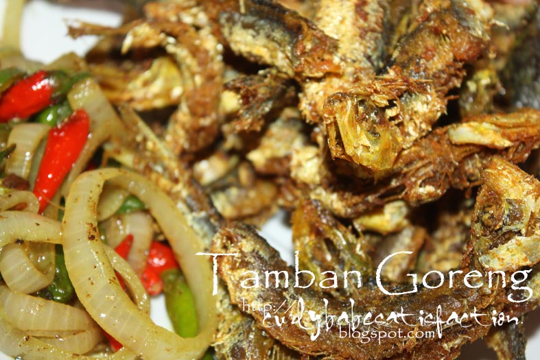 Curlybabe's Satisfaction: Ikan Tamban Goreng