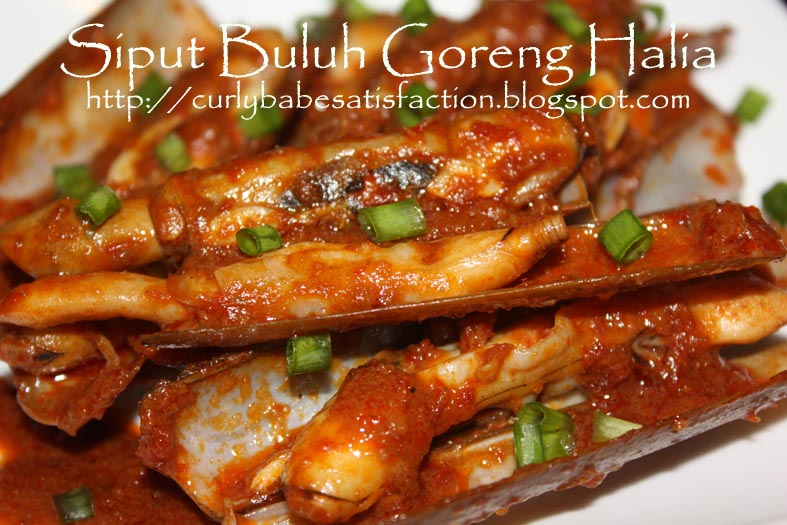 Curlybabe's Satisfaction: Siput Buluh Goreng Halia