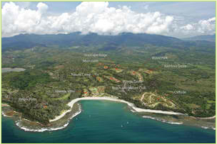 Ayala Land Premier Projects: Anvaya Cove Family Times, Endless Summer