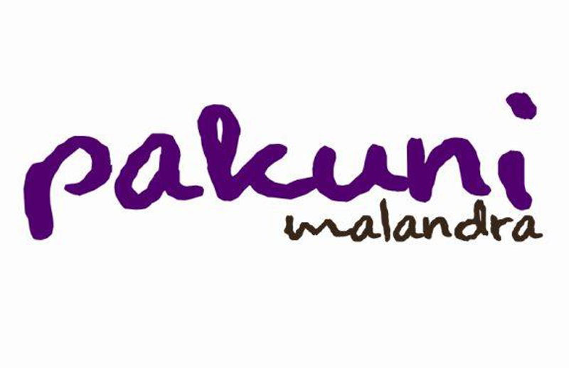 B L A C K D O G studio