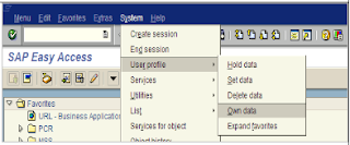 SAP Tips for HR: SAP HR - Personal Profile Parameter Settings