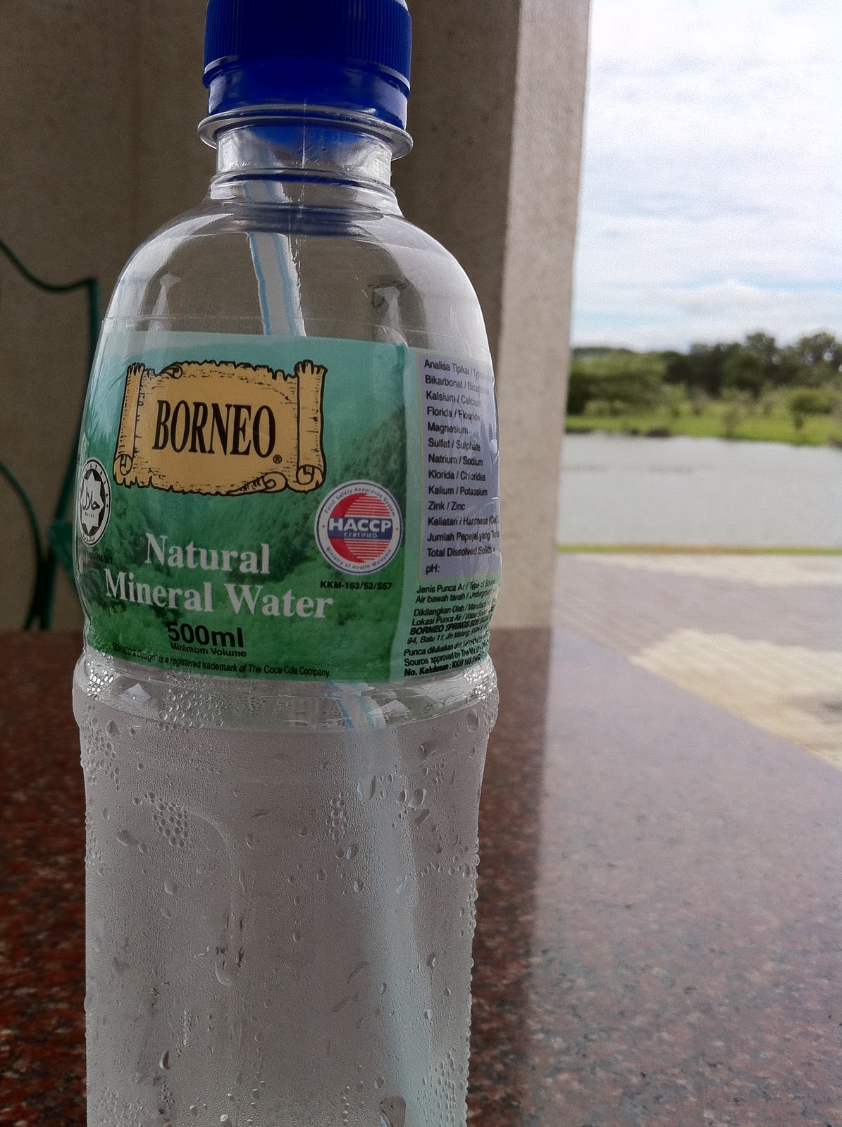 Apple make my life easier...: library pustaka negeri sarawak