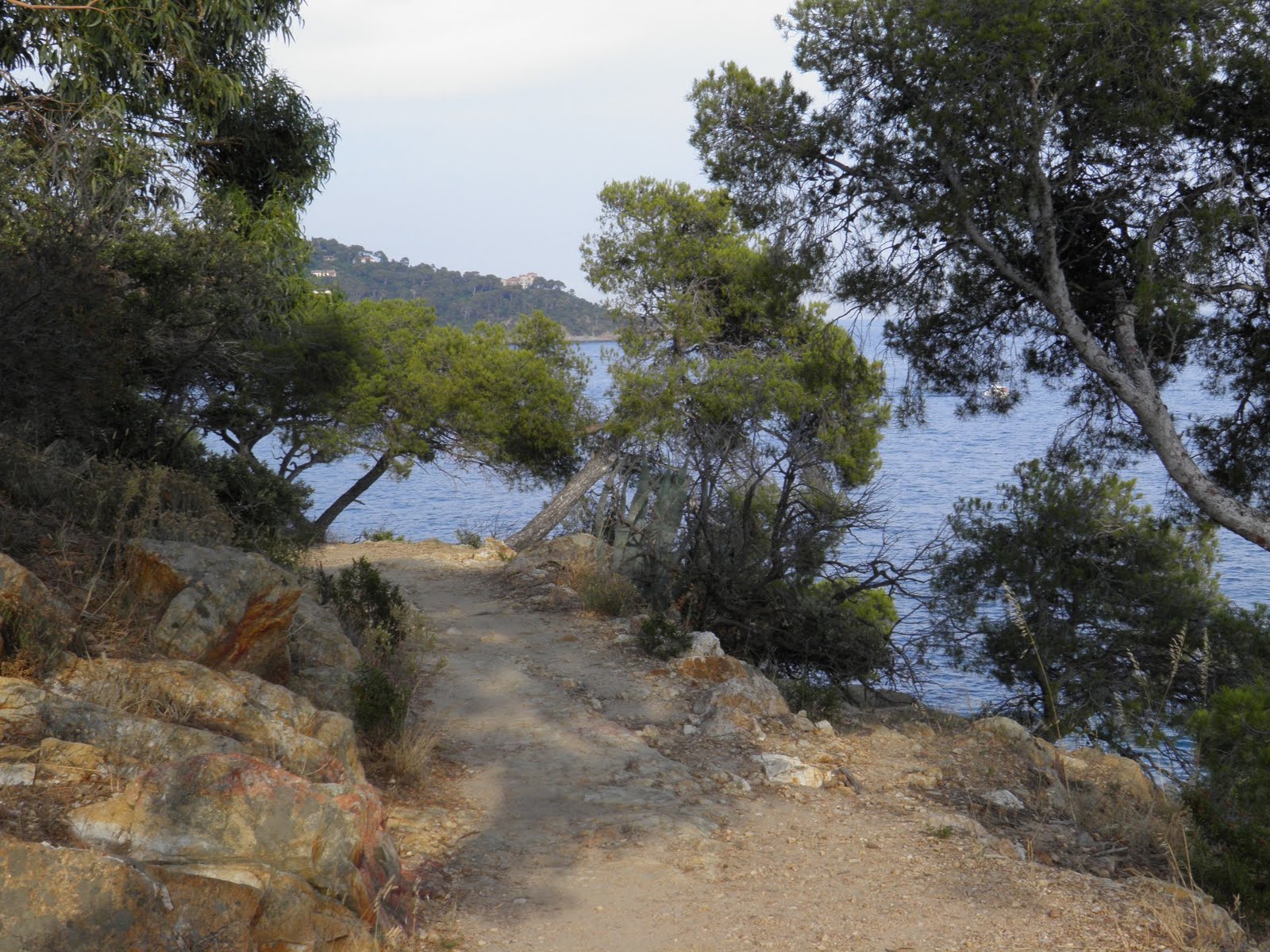 Pointe du Layet: Le layet N°1