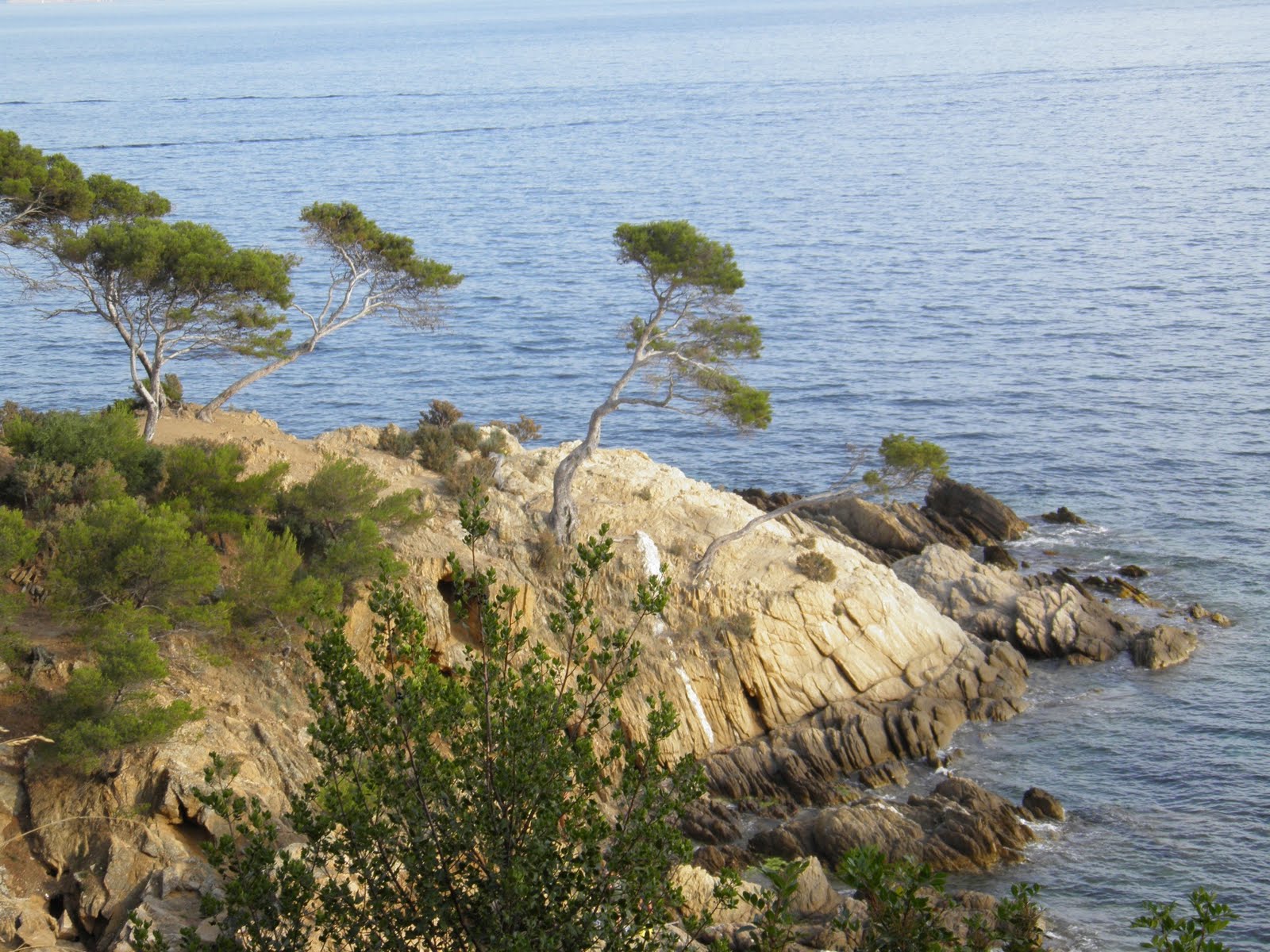 Pointe du Layet: Le layet N°1