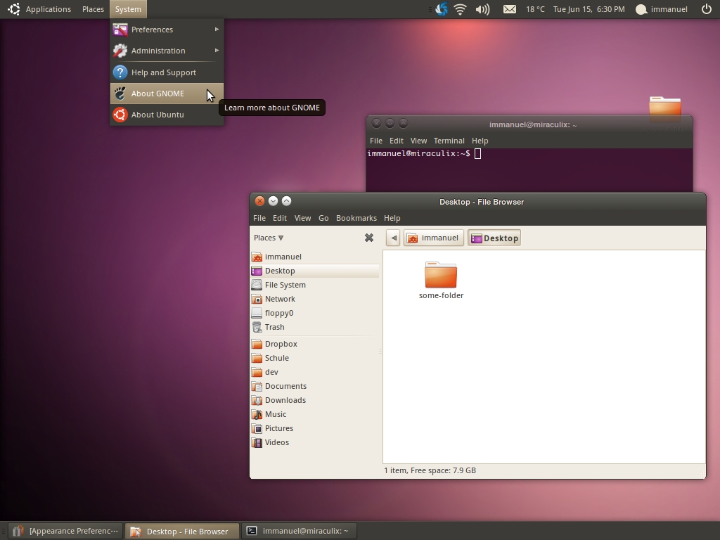 Linux-like: Temas alternativos para o Ubuntu 10.10