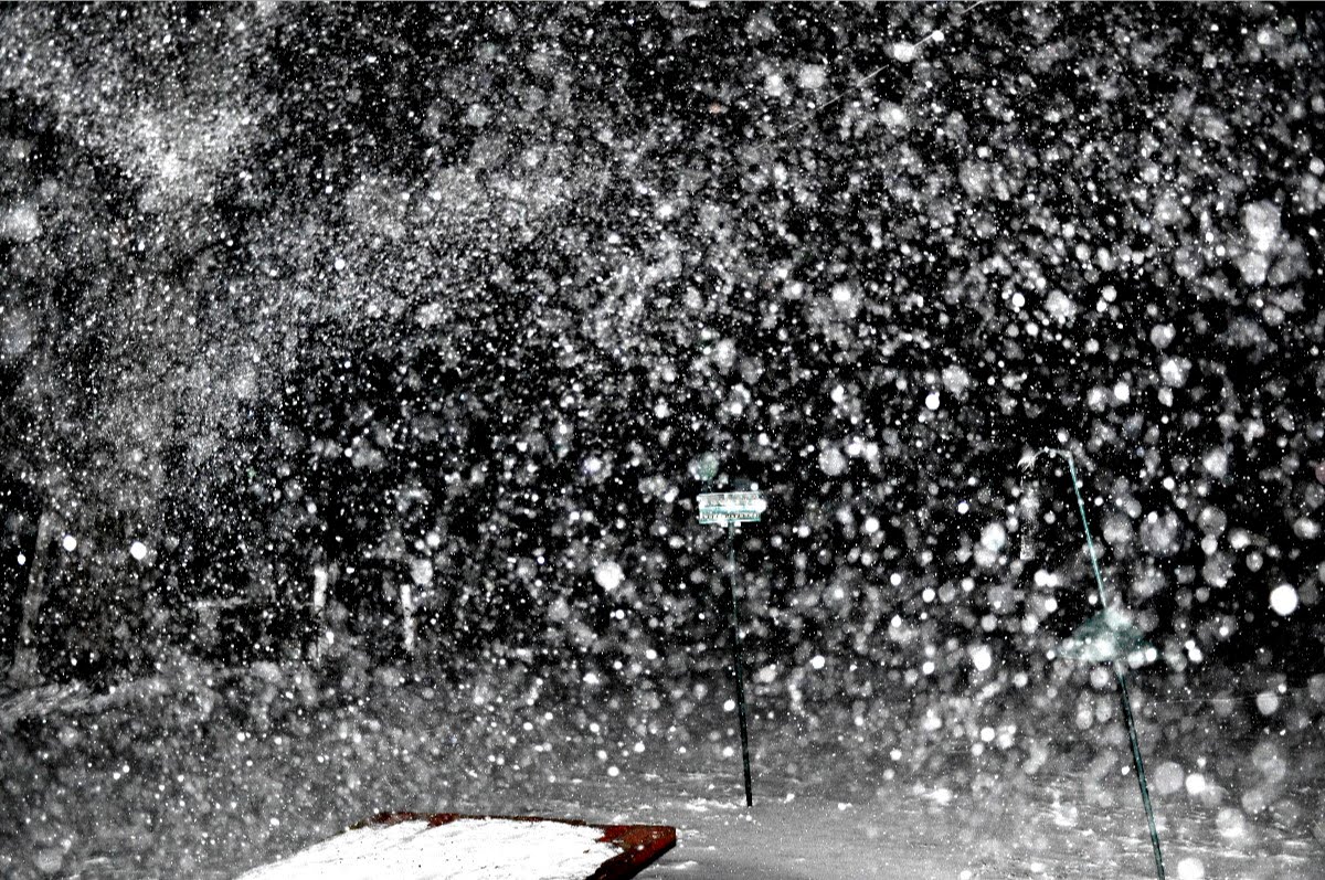 Palemaleirregulars: Pale Male, the Un-update, The Snow Spector, The Two ...