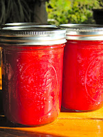 Nature's Hearth: Autumn Olive Berry Jam