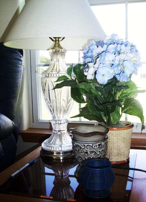 Digital Photography: Lesson 1: Introduction to Photography Assignment