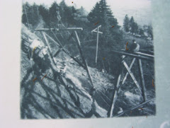 The Broughton Lumber Flume