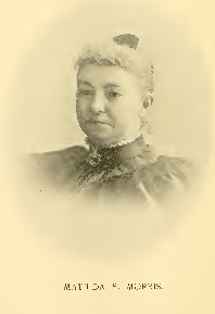 - -Larry Schliessmann's Marlowe Black Mysteries: Civil War Nurses, The ...