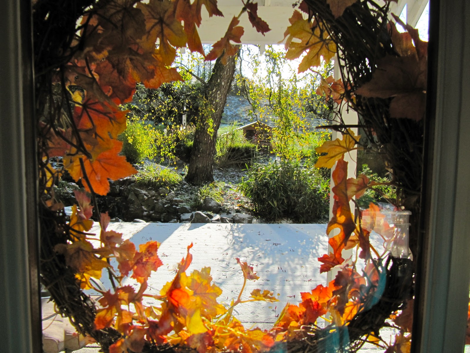 Teresa Kasner: Sunshine, Snow & Thanksgiving