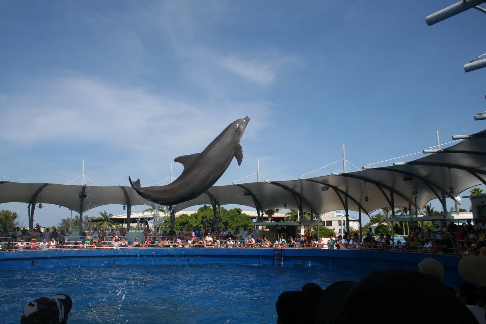 2PoutyPrincesses: Miami Seaquarium