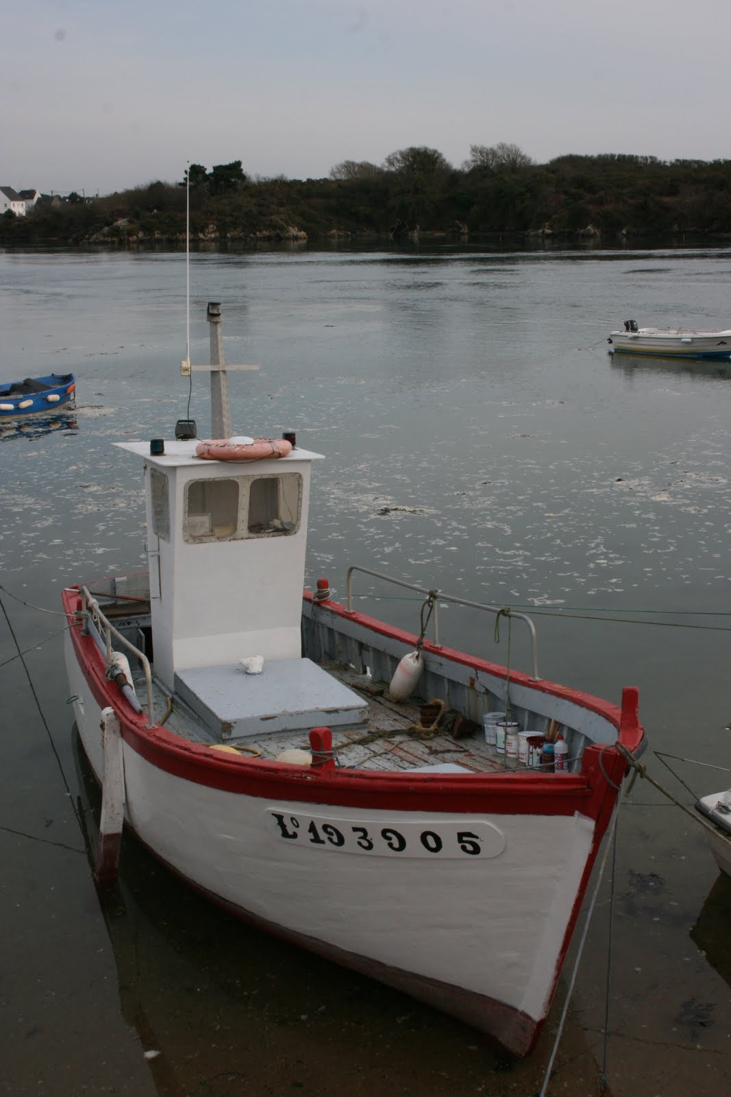 LE MONDE ILLUSTRE: La ria d'Etel