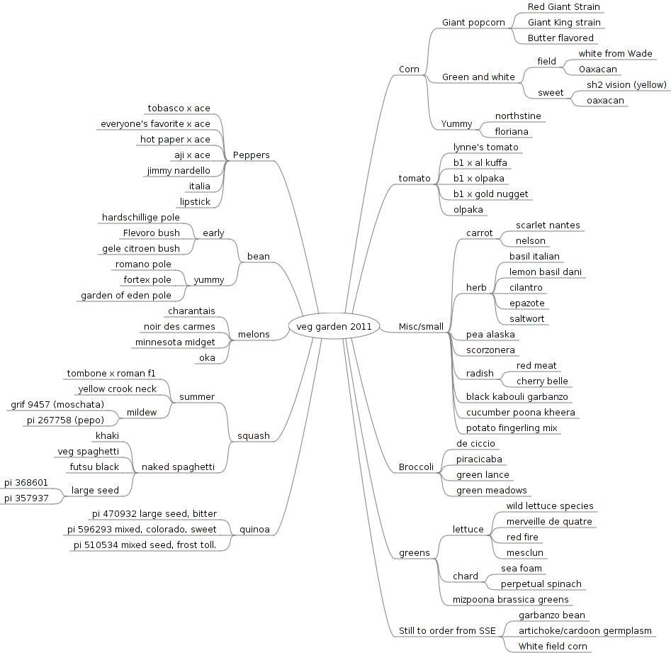 Arrowhead Alpines Blog: The 2011 Veg Plan