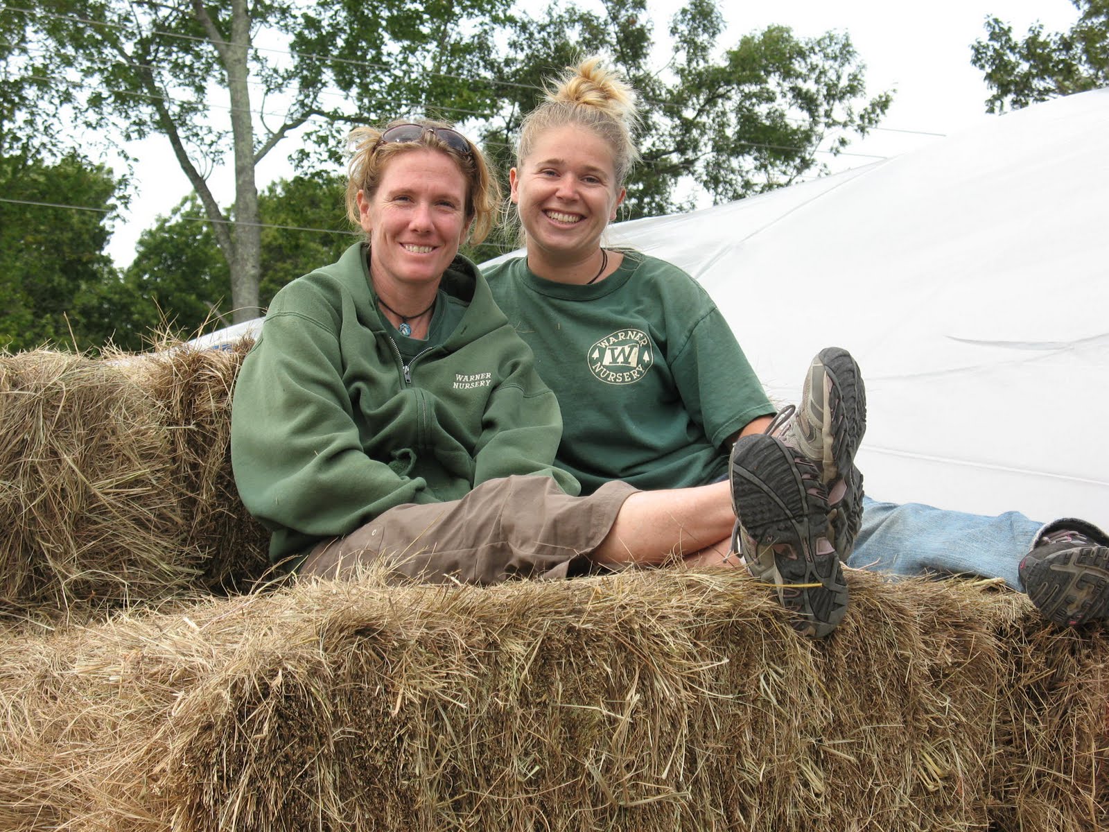 Warner Nursery News and Tidbits: Salt Marsh Hay Is In!