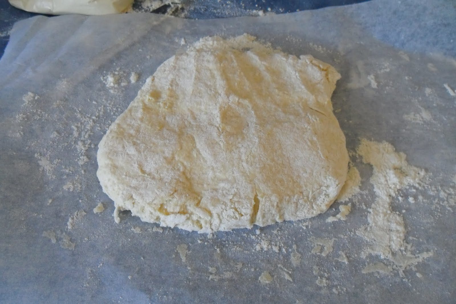 Kiwi Cooking Creations: Cinnamon, Raisin & Custard Scone Rolls