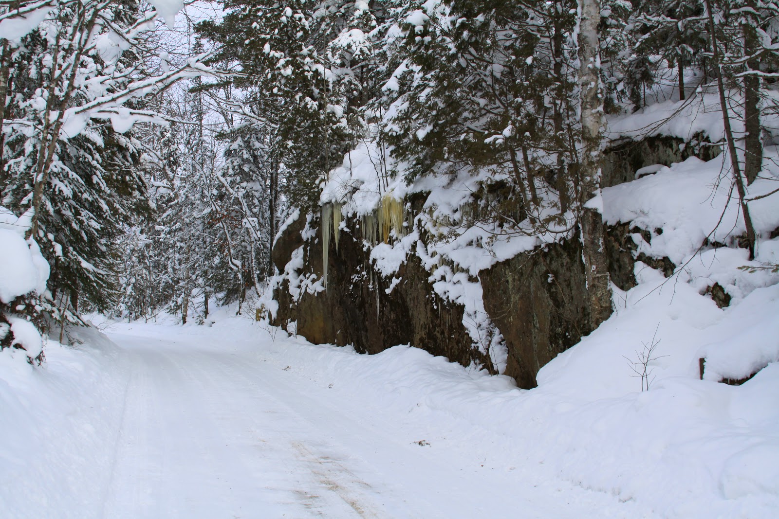 gallery hair: Snow Snaps