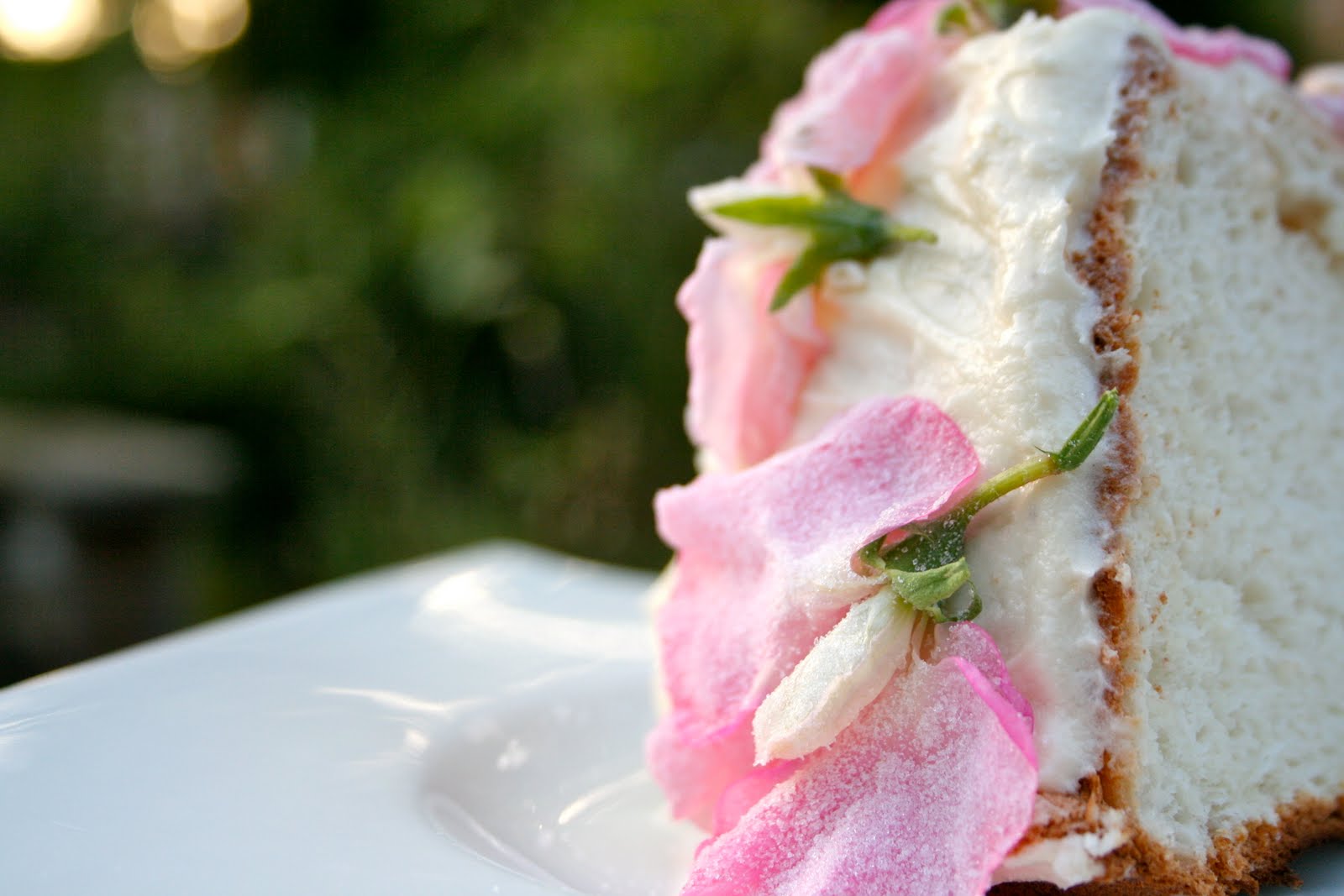 Angel Food Cake with Buttercream Frosting and Sugared Flowers