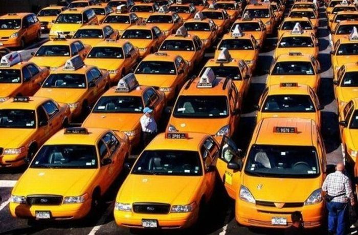 Real Life Patterns | LOL PICTURE GALLERY