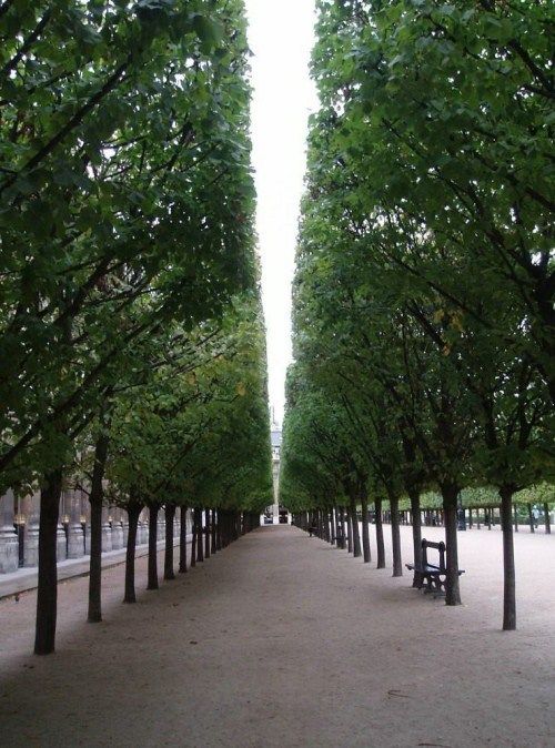 Real Life Patterns - 60 Pics | Curious, Funny Photos / Pictures